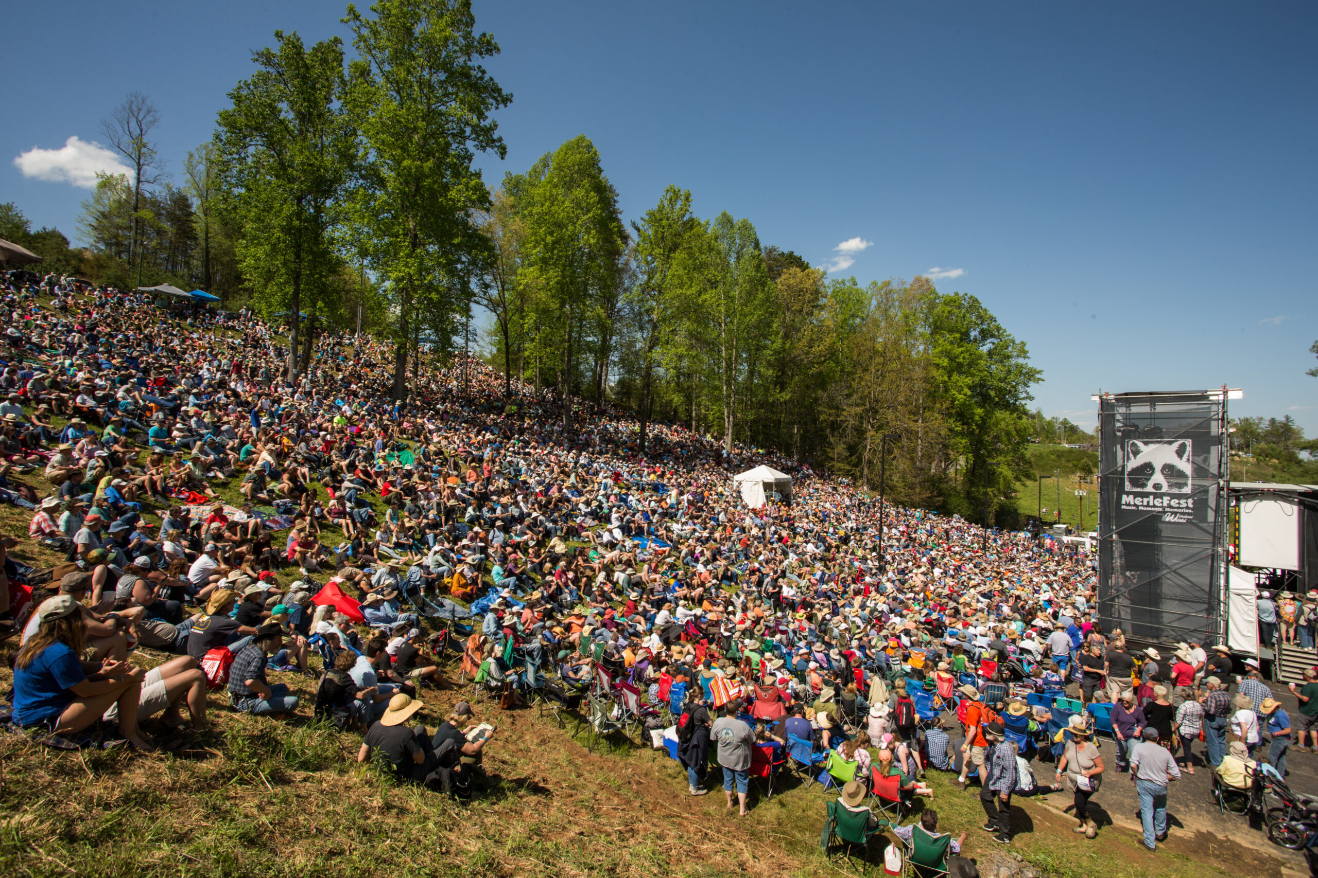 MerleFest's Impact - Foothills Digest